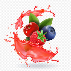 Realistic berries juice splashes set Royalty Free Vector