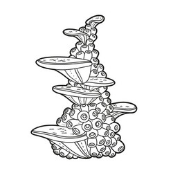 Large sea sponge coloring book linear drawing Vector Image