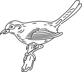 Line drawing bird on tree for kids painting art Vector Image