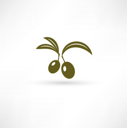 Olive Cut Vector Images (over 65,000)