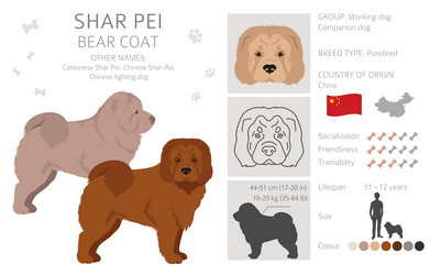 Shar pei bear coat puppies clipart different Vector Image