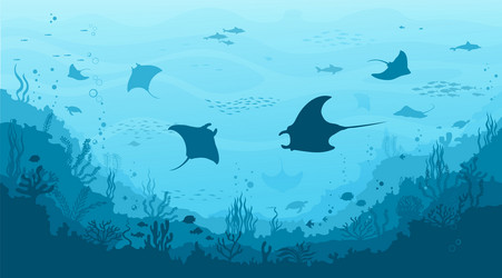 Manta Vector Images (over 1,300)