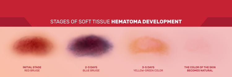 Development Stages of Woman Vector Images (over 610)