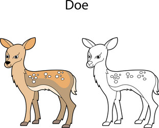Doe Vector Images (over 4,100)