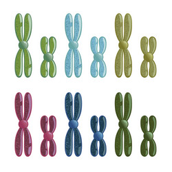 Chromatin Vector Images (over 120)