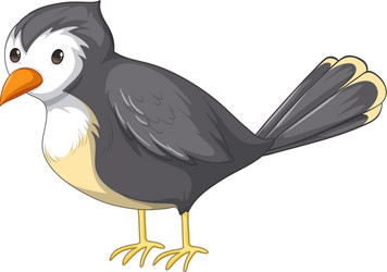 Magpie birds in cartoon style Royalty Free Vector Image