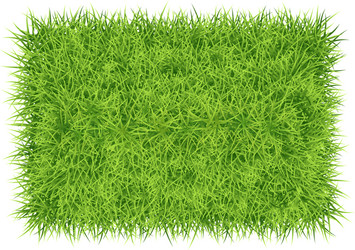 Grass field with river spring landscape Royalty Free Vector