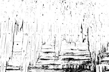 Edge Splatter Vector Images (over 11,000)