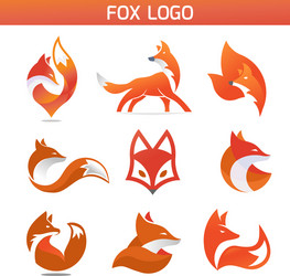 Fox circle symbol Royalty Free Vector Image - VectorStock