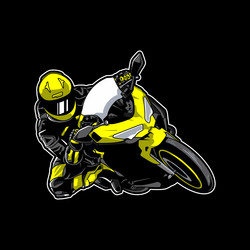 Montorcycle kawasaki ninja Royalty Free Vector Image