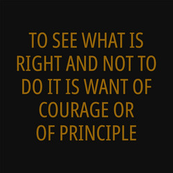 Always do what is right it will gratify half Vector Image