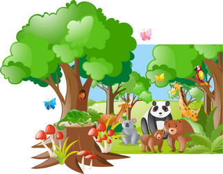 Poster tree with forest animals Royalty Free Vector Image