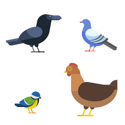 Partridge Bird Cartoon Vector Images (over 140)