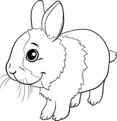 Quick rabbit Royalty Free Vector Image - VectorStock