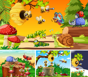 Set different insects living in garden Royalty Free Vector