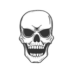 Scary Skeleton Vector Images (over 43,000)