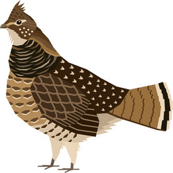 Grouse Vector Images (over 520)