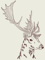 Doe Vector Images (over 4,100)