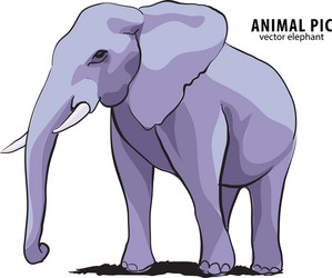 Cartoon grey elephant Royalty Free Vector Image