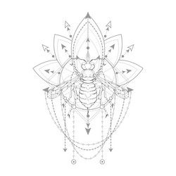 Bee Sacred Geometry Vector Images (98)