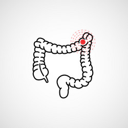 Sketch human intestine tracts digestion colon Vector Image