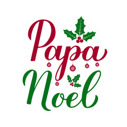 Noel calligraphy hand lettering with christmas Vector Image