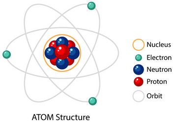 Diagram of atom structure Royalty Free Vector Image