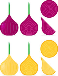 Onion flat design icon Royalty Free Vector Image