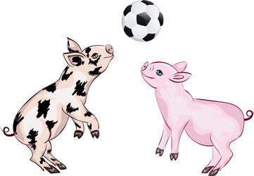 Pig Football Vector Images (over 100)