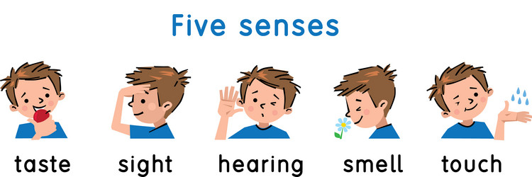 Touch sense icon Royalty Free Vector Image - VectorStock