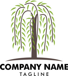 Willow tree color icon Royalty Free Vector Image