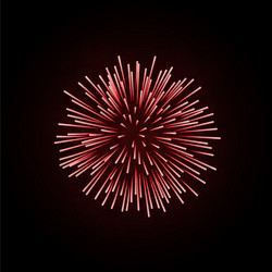 Beautiful red firework bright firework isolated Vector Image