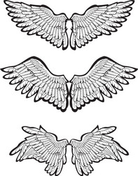 Roses wings Royalty Free Vector Image - VectorStock