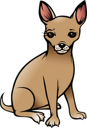 Chihuahua Vector Images (over 3,000)