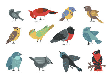 Winter birds Royalty Free Vector Image - VectorStock