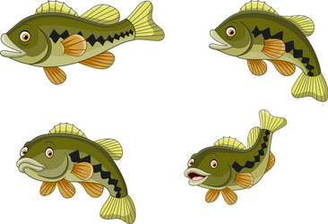 Cartoon bass fish isolated on white background Vector Image