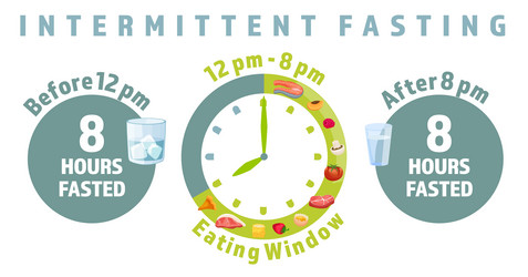 Scheme and concept of intermittent fasting clock Vector Image