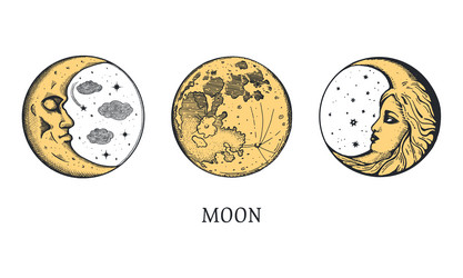 Crescent moon Royalty Free Vector Image - VectorStock