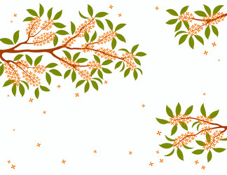 Osmanthus tree branch with flowers Royalty Free Vector Image