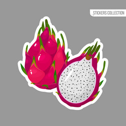 Cartoon fresh red dragon fruit isolated on white Vector Image