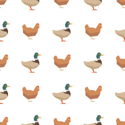 Chickens Vector Images (over 200,000)