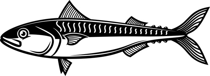 Premium quality horse mackerel abstract Royalty Free Vector