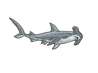 Whale and blue shark great hammerhead sand Vector Image