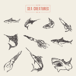 Sea Creatures Etching Vector Images (over 570)