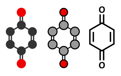 Benzoquinone quinone para-benzoquinone molecule Vector Image