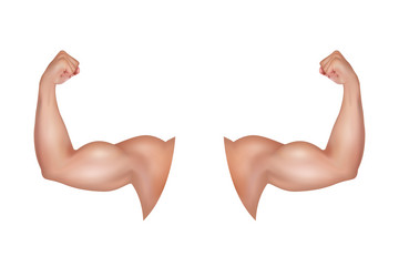 Male arm with a big strong bicep Royalty Free Vector Image