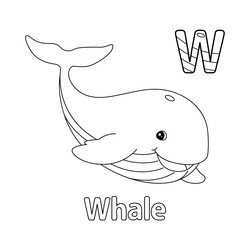 Weasel animal alphabet abc isolated coloring w Vector Image