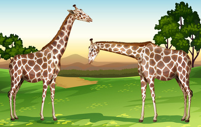 Funny giraffe cartoon in the jungle Royalty Free Vector