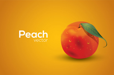 Free Peach Vector Images (over 1,400)