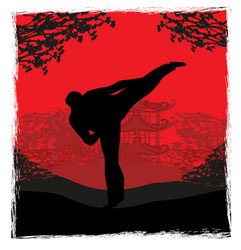 Creative abstract karate fighter Royalty Free Vector Image